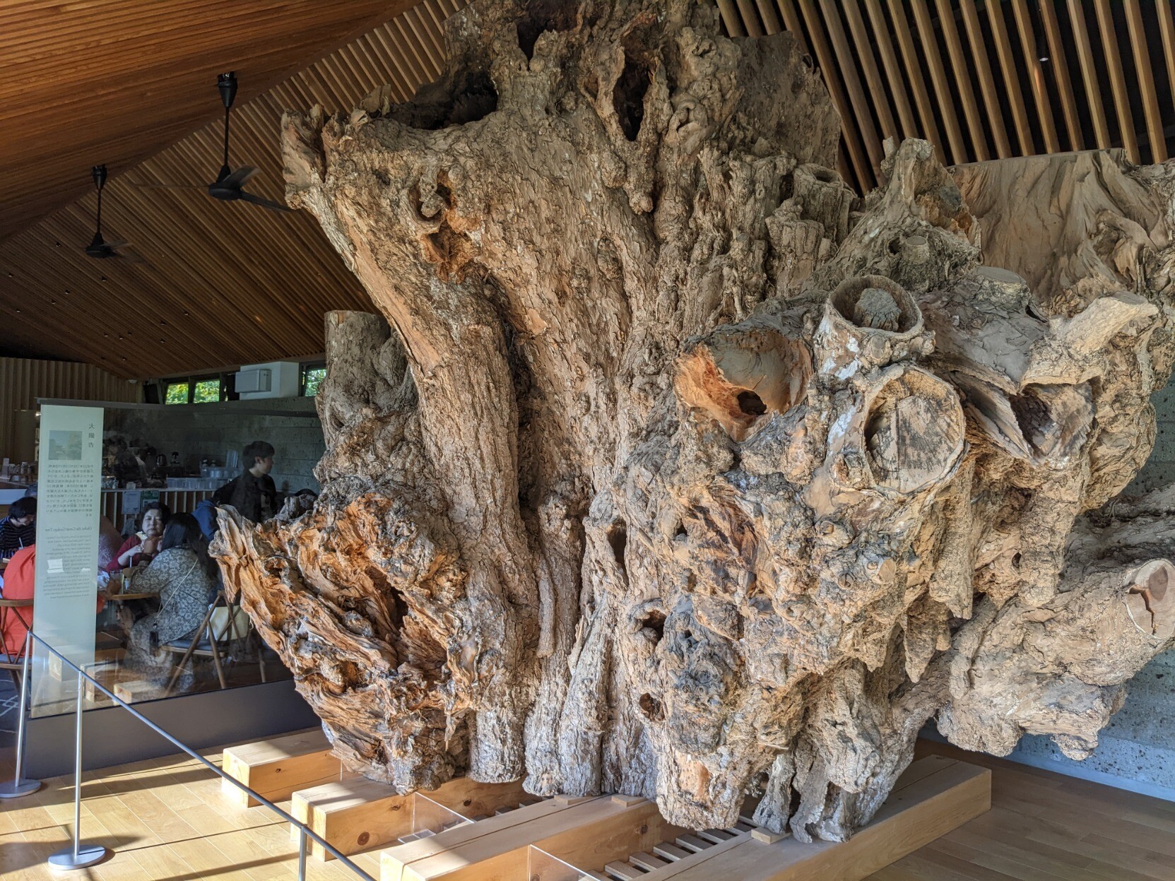 Matthias Rosenkranz (@rosenkranz@mastodon.social) - Mastodon